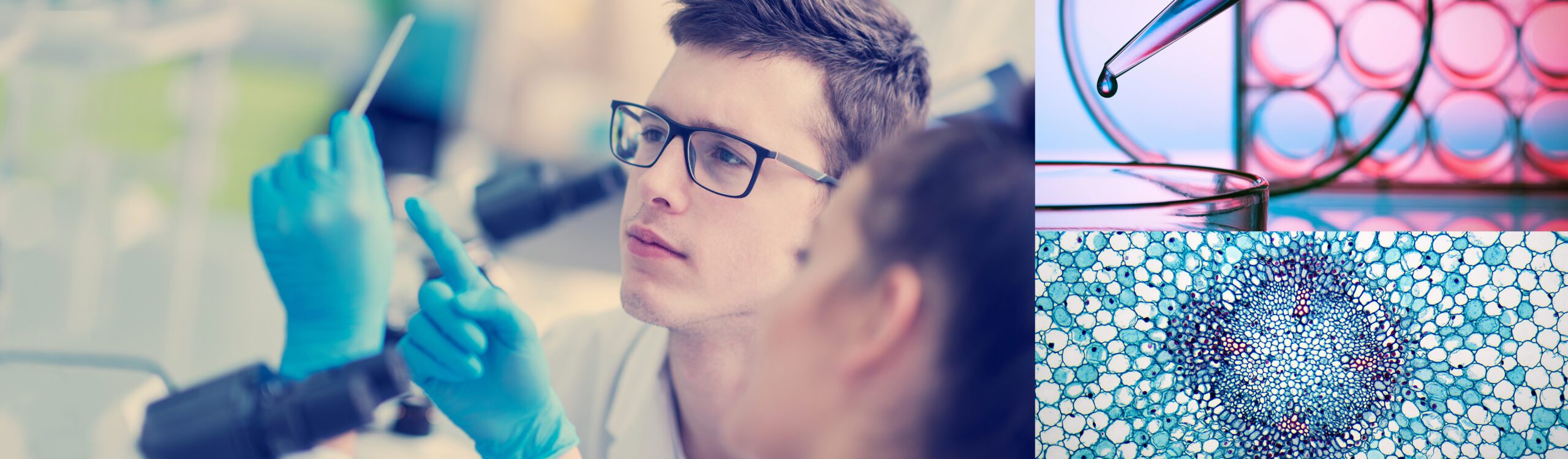 Laboratory & Research Chemicals - ECP