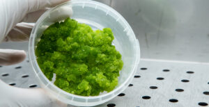 Laboratory & Research Chemicals - ECP